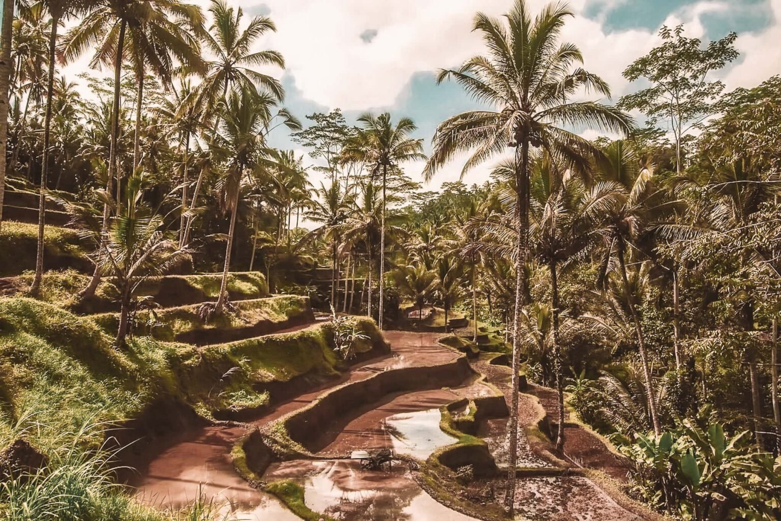 Bali Digital Nomad Guide 2023 | Work Remotely from Paradise